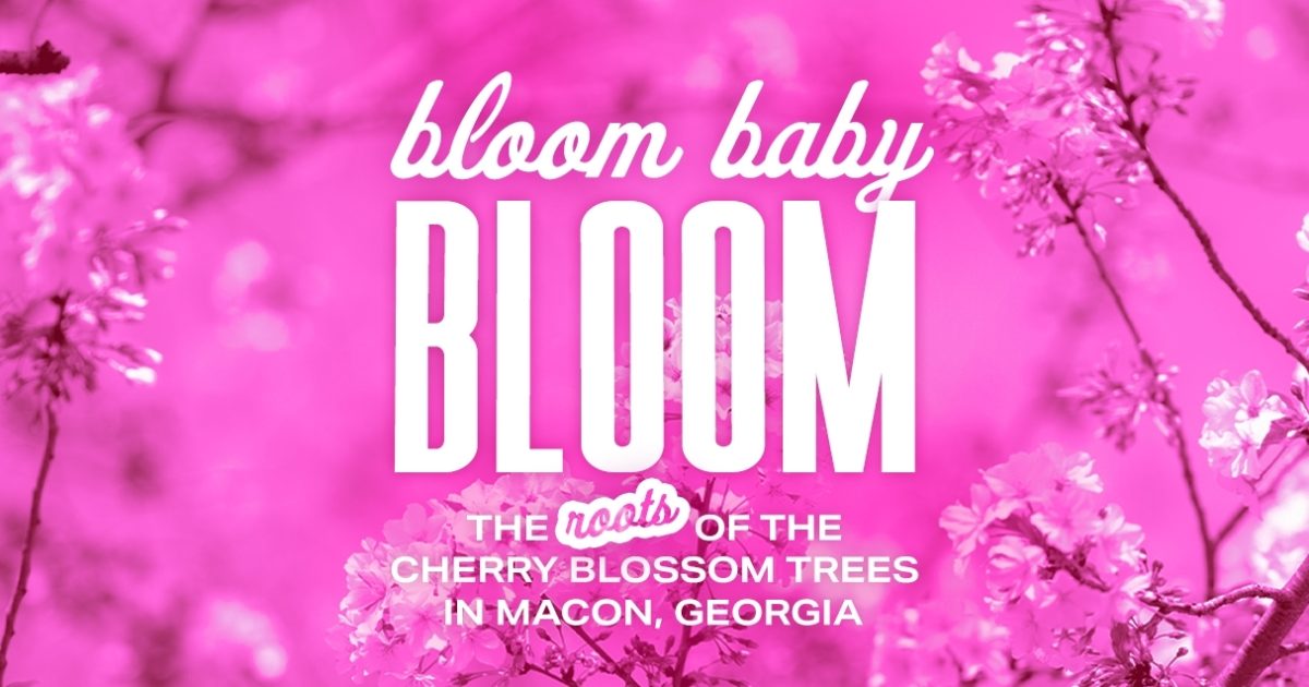 History of the Trees in Macon, GA | Macon, GA