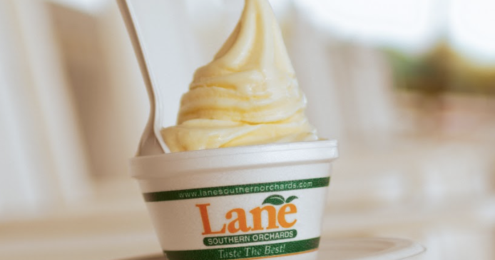 Things to Do with Kids in Macon | Family-Friendly Activities | Macon, GA