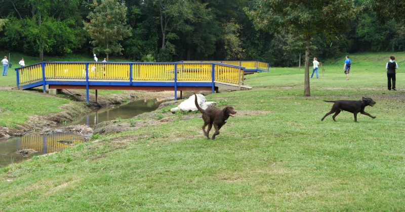 Macon Dog Park | Macon, GA Macon Dog Park | Macon, GA